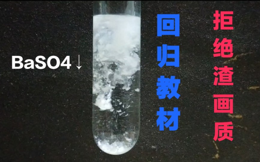 【必修一实验2-1】硫酸钠与氯化钡反应