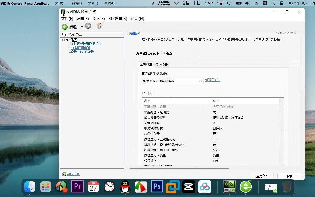 我的N卡为什么只有3D?谁知道?在线等,急!