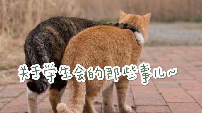 大学要不要加入学生会?宣传部是个怎样的部门?来跟小熊一起看吧