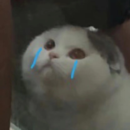 向书不笺 