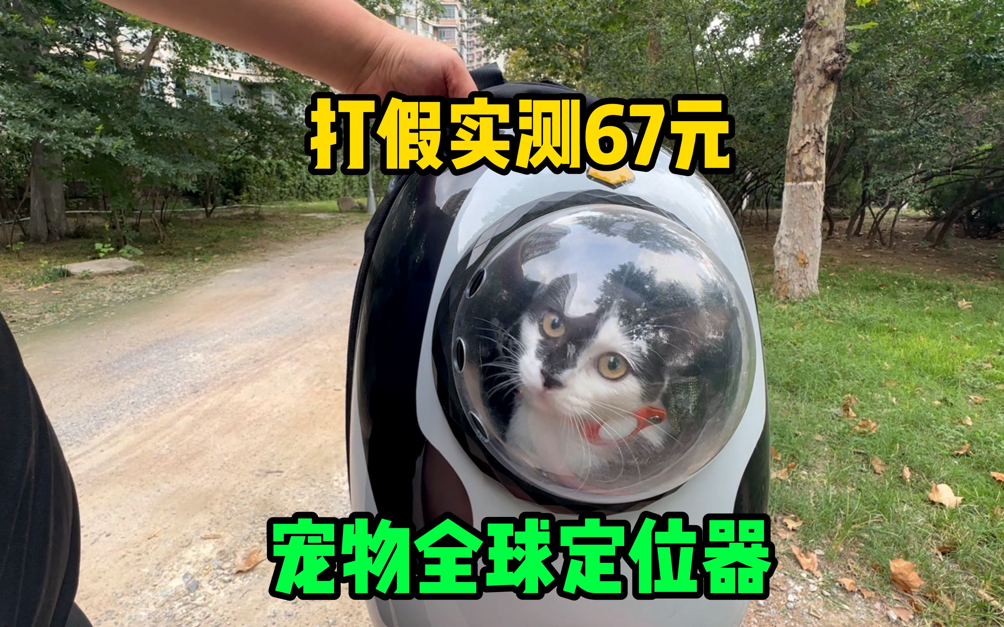 打假实测67元宠物定位器,全球定位走到哪里都丢不了,是真的吗?
