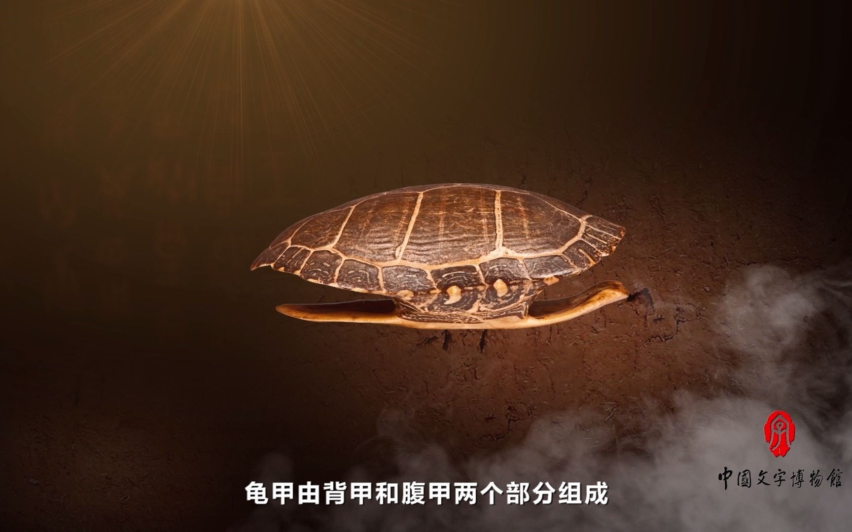 第五集 占卜过程