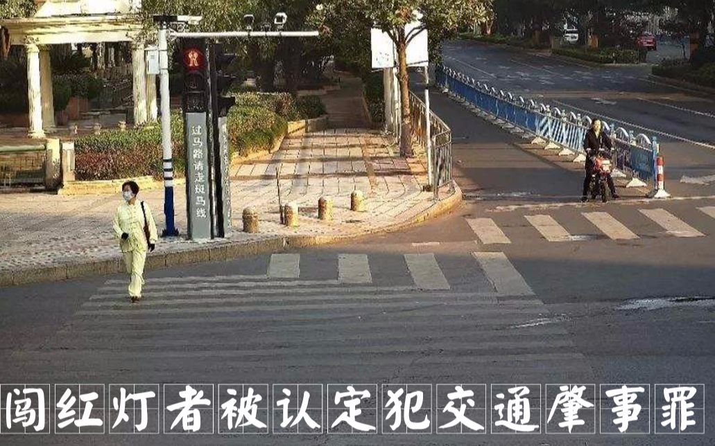 ...责任 专家解读行人交通肇事 广东中山闯红灯酿事故一死两伤行人获刑