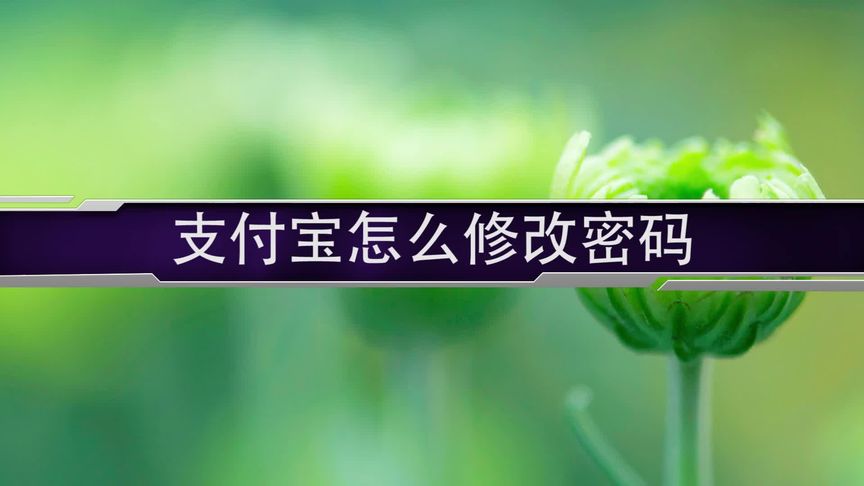 支付宝怎么修改密码?