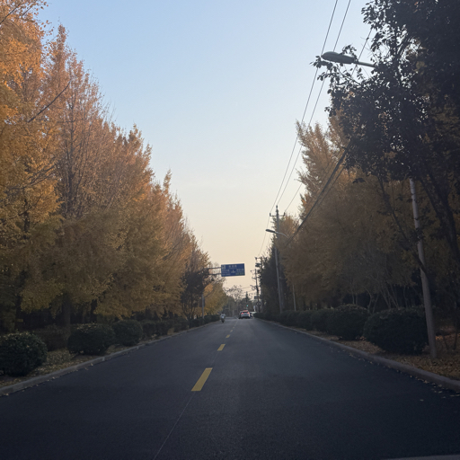 少有温柔啊 