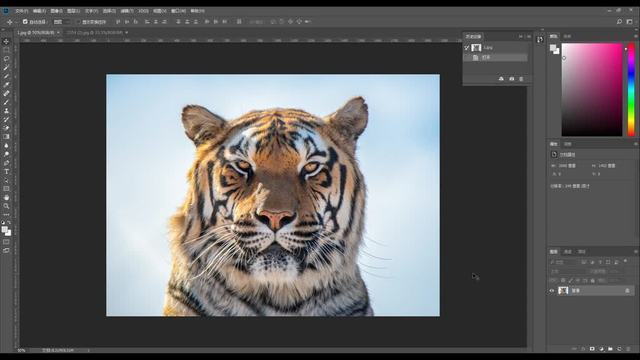 学点ps小技巧,小修图片不用愁之抠毛发
