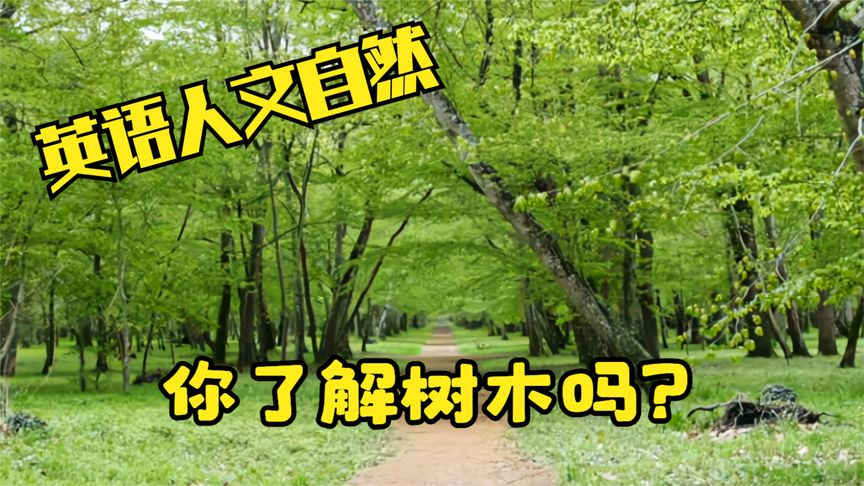 [英语人文自然] 你了解树木吗?Trees