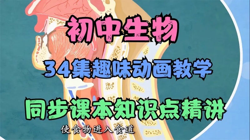 初中生物, 34集趣味动画教学,本集知识点
