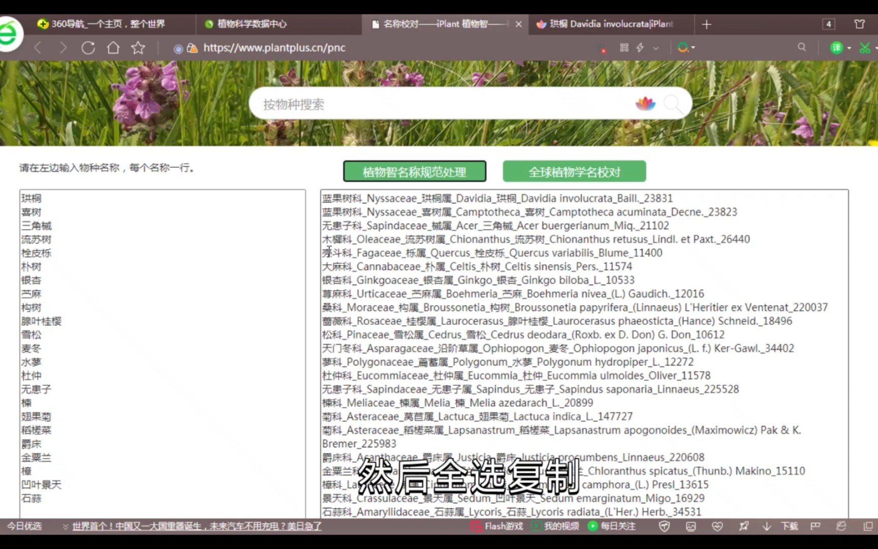 ...如何快速在excel表格中制作植物名录、匹配科属种拉丁名!excel分列...