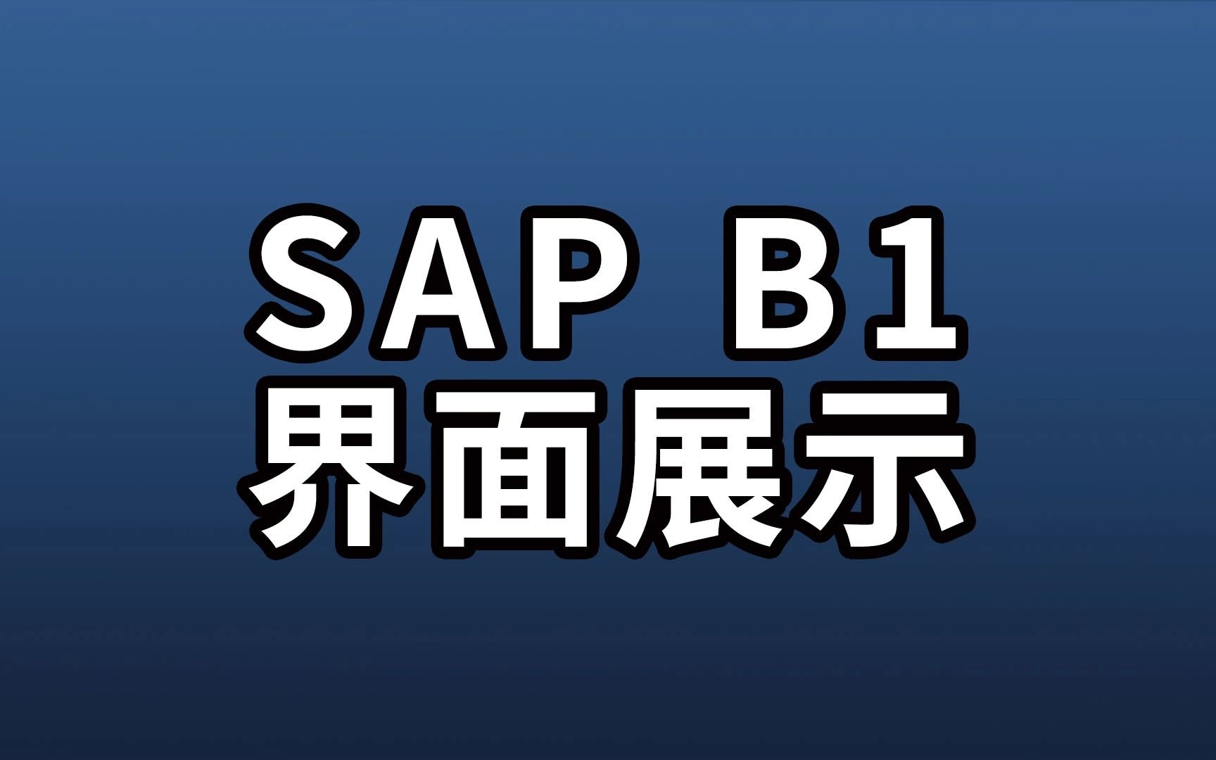 SAP Business One 系统界面展示