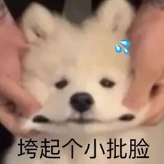 兔_先生丶 