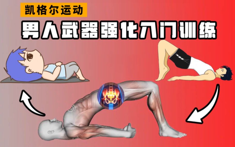 ...动作教你骨盆底肌训练,增强幸福感,男生女生都可以训练盆底肌修复 ...