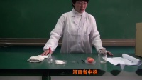 制作番茄果肉细胞临时装片