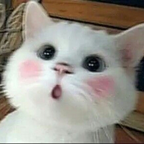 来一碗姨妈 