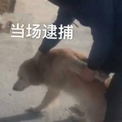 飞天遁地不死人 