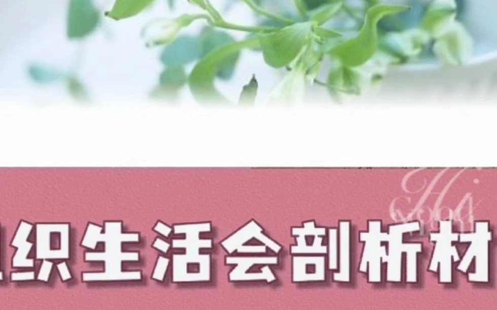 组织 || 生活会 ||剖析 ||材料
