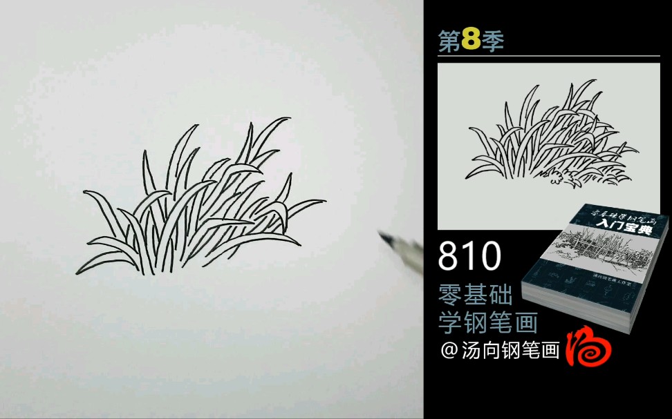 【线描钢笔画】零基础钢笔画入门教程!小草的画法～