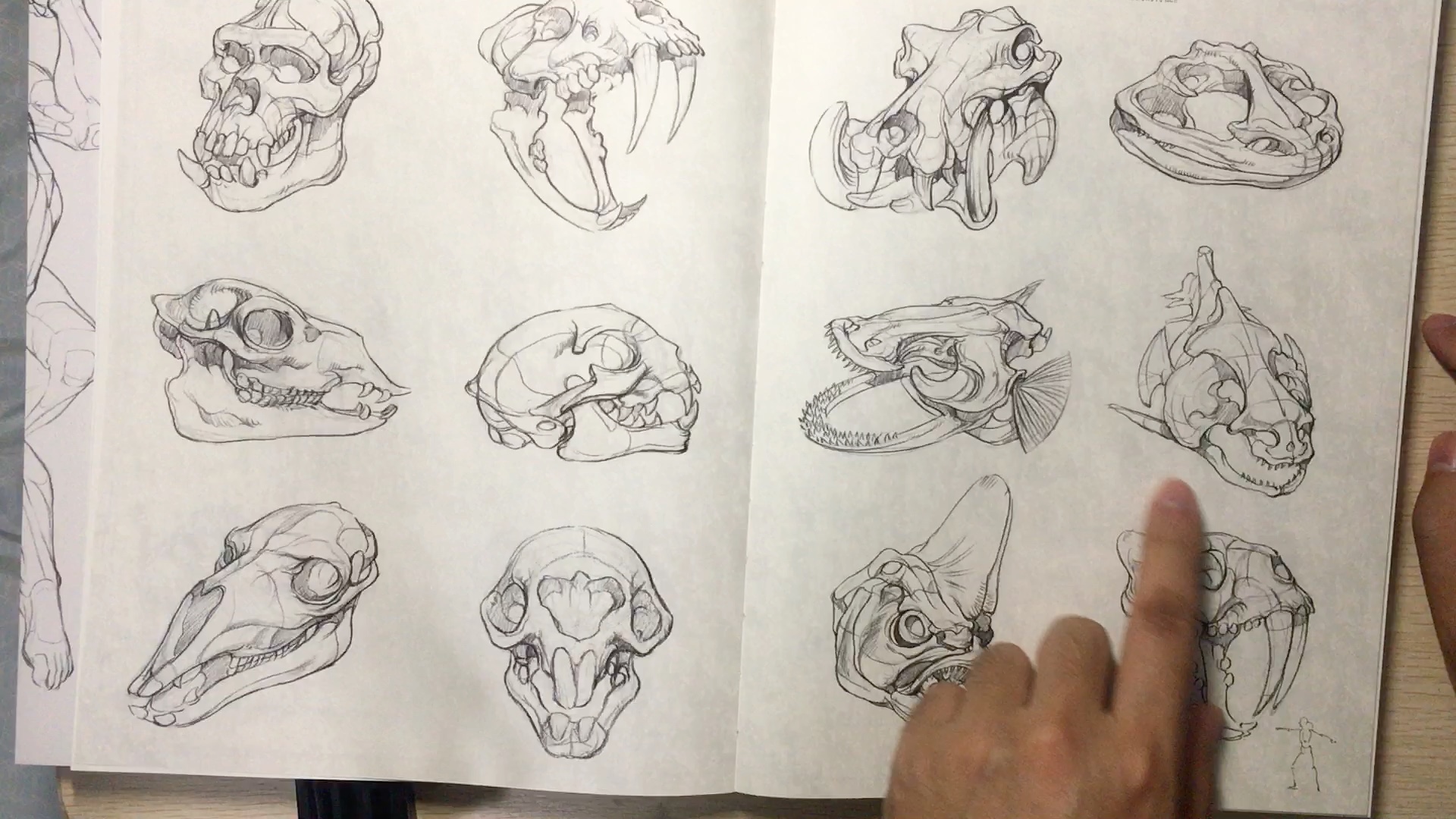 【麥田好书】国人春哥的艺用人体结构教材,有大量高清图可供模仿～