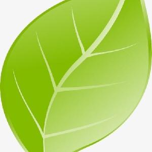 狂风扫不了落叶 