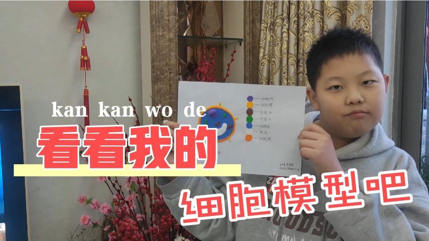 从小就喜欢玩粘土这次终于有机会发挥了,七年级寒假作业细胞模型