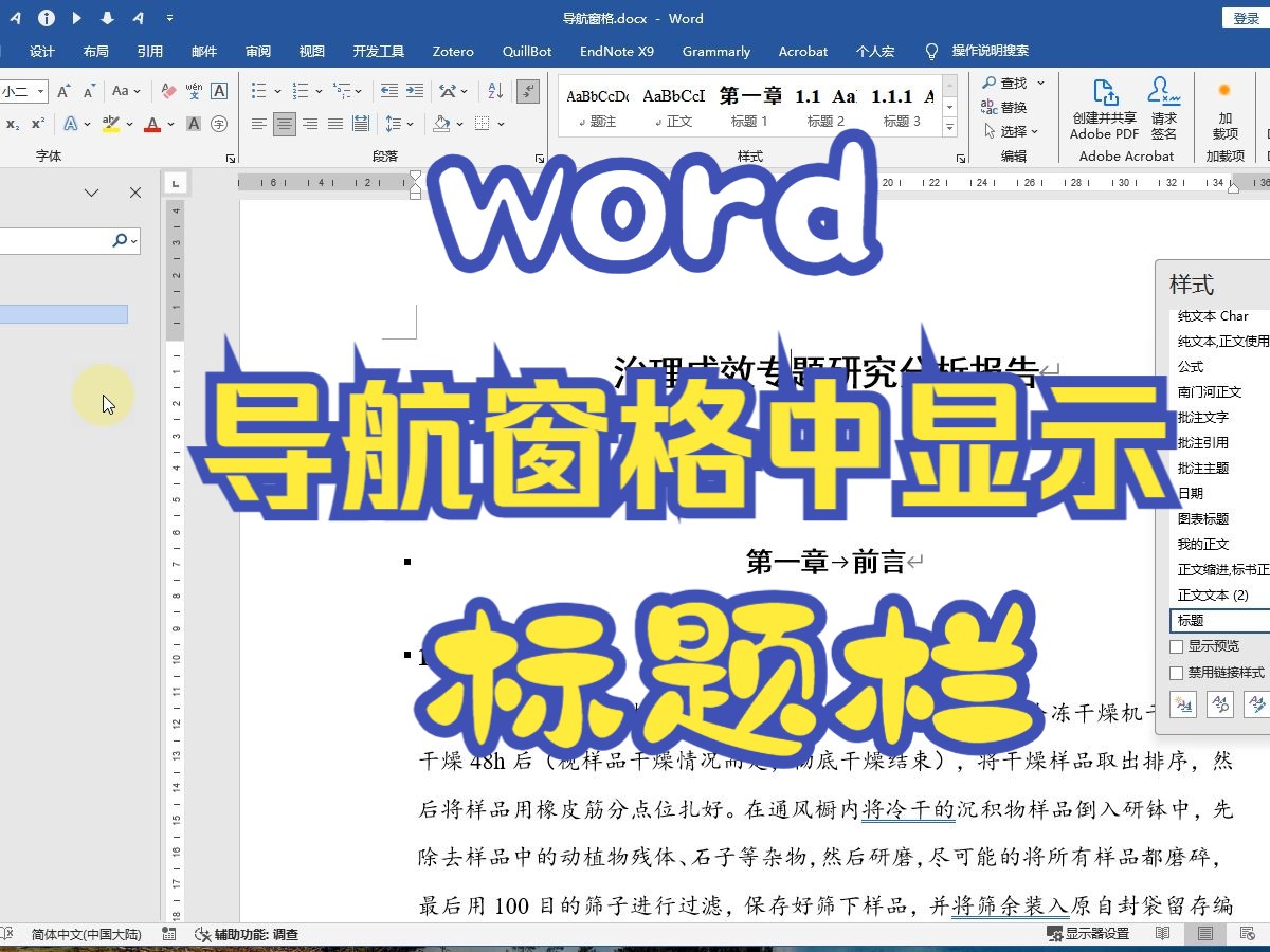 word导航窗格中标题栏不显示