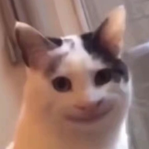 饿饿饿饿饿梨酱 