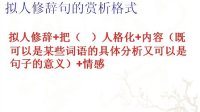 拟人修辞及表达效果
