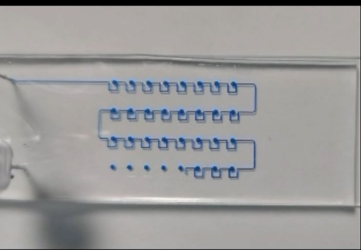 【生物制造前沿速递】华东师范大学赵振杰教授&李欣副教授:微流控...