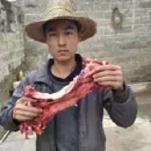 食味小强