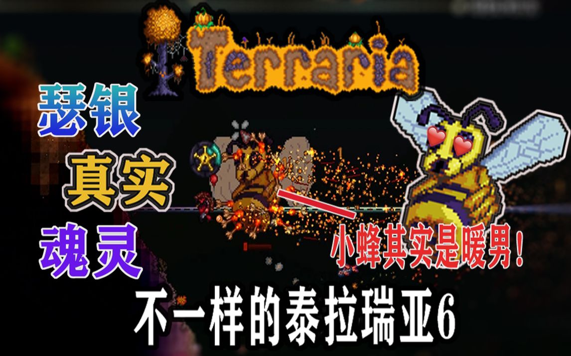 [泰拉瑞亚]挑战暖男蜂王!插满火把原来是想当“网红”!瑟银魂灵真实...