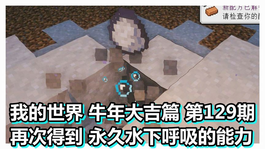 我的世界 牛年大吉篇 第129期 再次得到 永久水下呼吸的能力