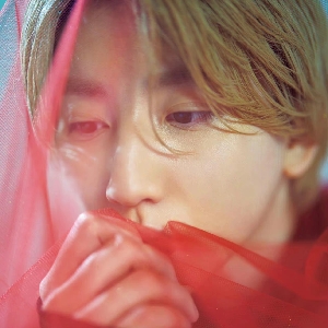 南美的羊驼_Alpaca 