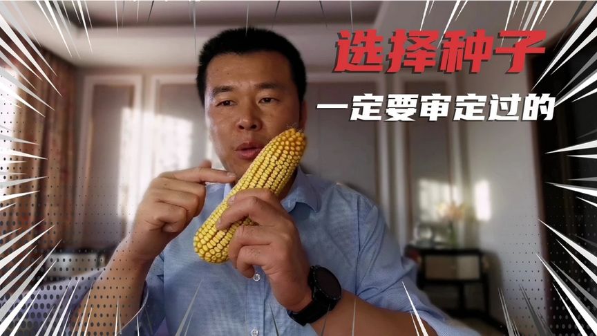 你选择的品种审定了吗?