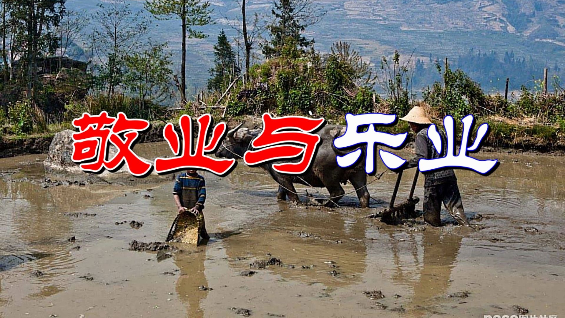 九语上-6-《敬业与乐业》课文朗读