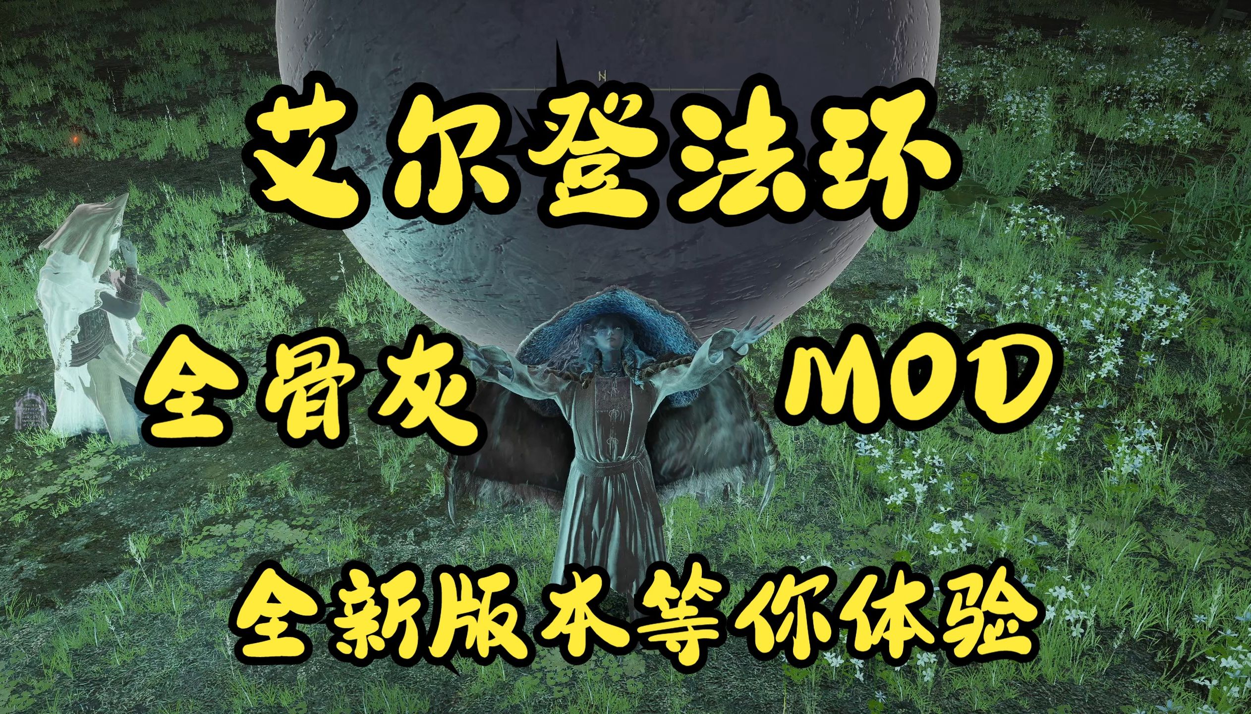 艾尔登法环全骨灰修改MOD,新增150+骨灰