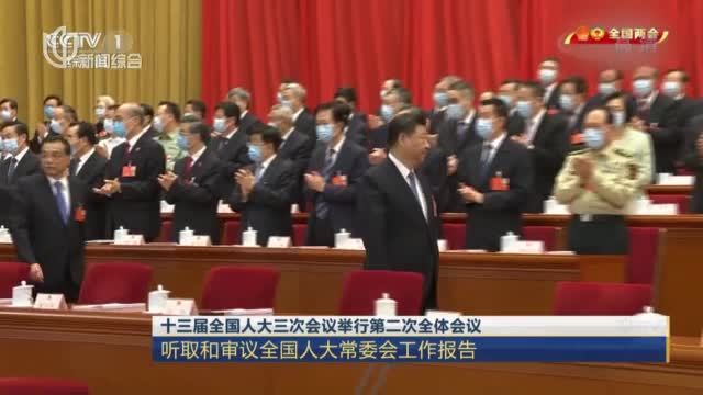十三届全国人大三次会议举行第二次全体会议:听取和审议全国人大.