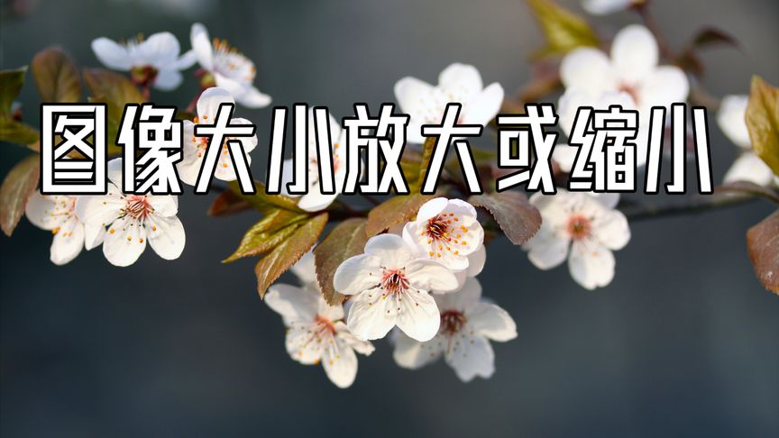 PS中如何修改照片的大小方法你会用哪几种?