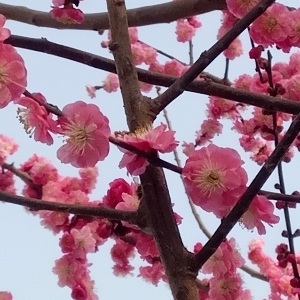 随便起个丶名 