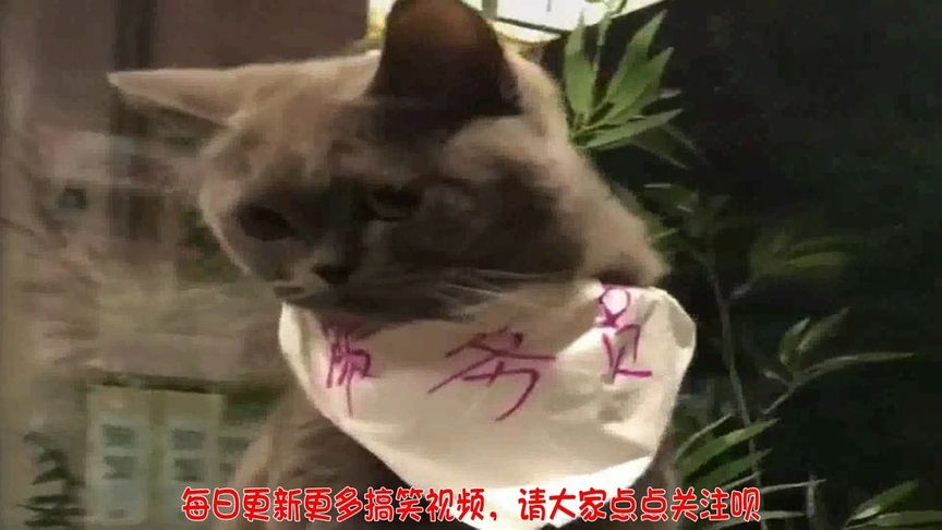 我要投诉,这服务员态度太差了,摸一下都不行