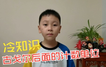 【冷知识】九岁小朋友告诉你古戈尔后面的记数单位还有哪些?