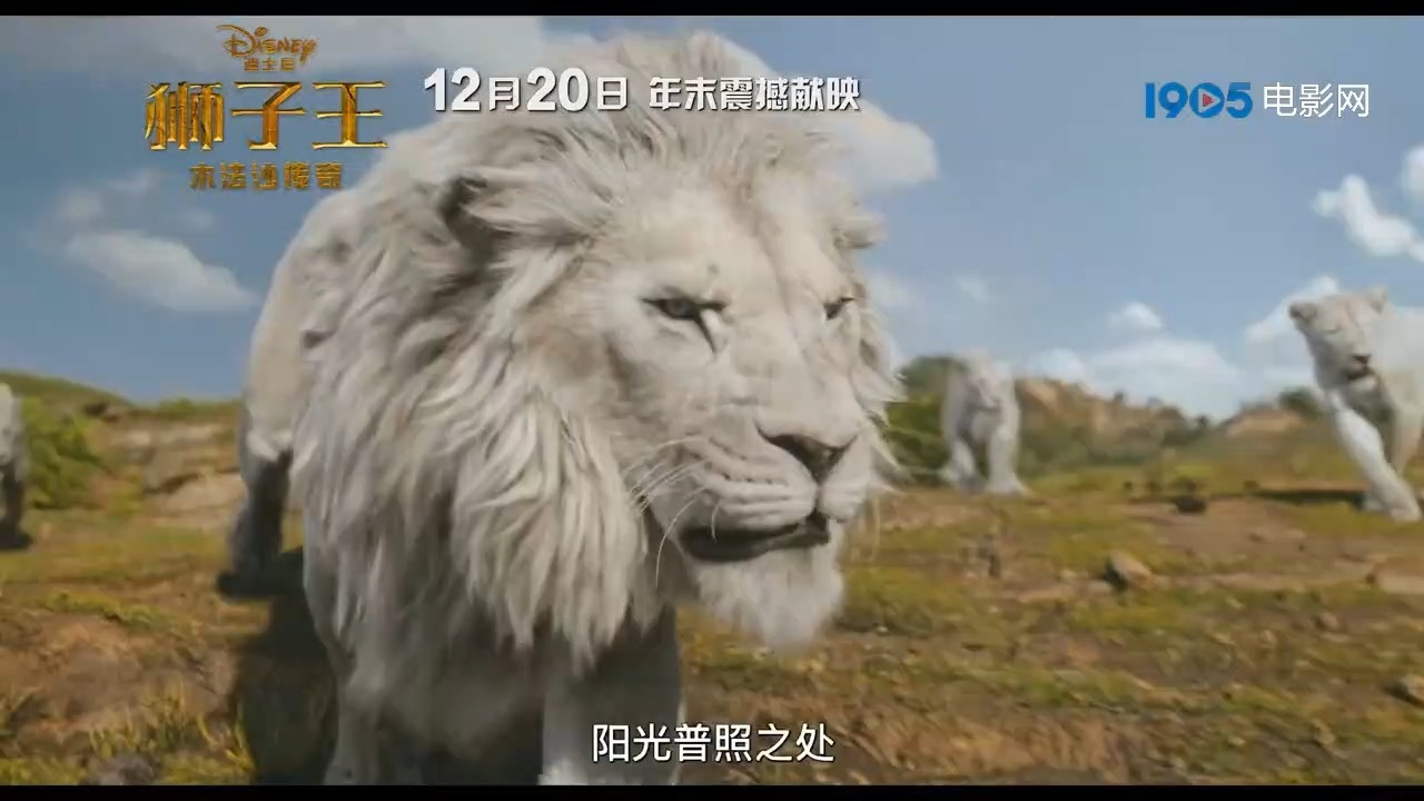 电影《狮子王:木法沙传奇》发布终极预告!_高清视频在线观看_电影网