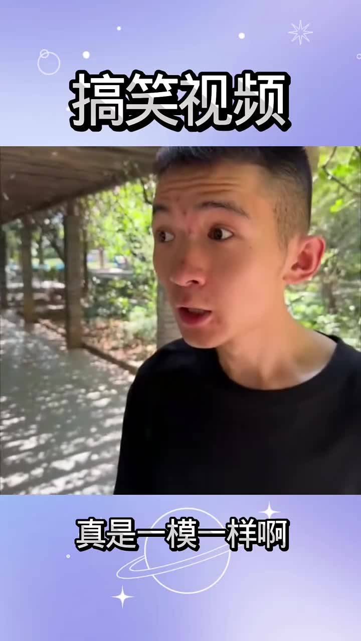 真是一模一样啊