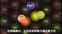 EDI原理录像视频