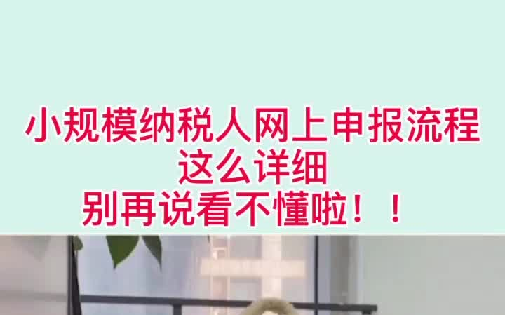 小规模纳税人网上申报流程 这么详细 别再说看不懂啦!