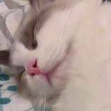 _k11111 