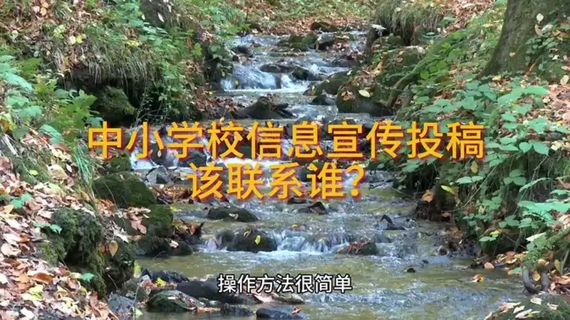 中小学校信息宣传投稿该联系谁?