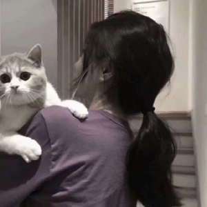 我尊滴爱吃香菜 