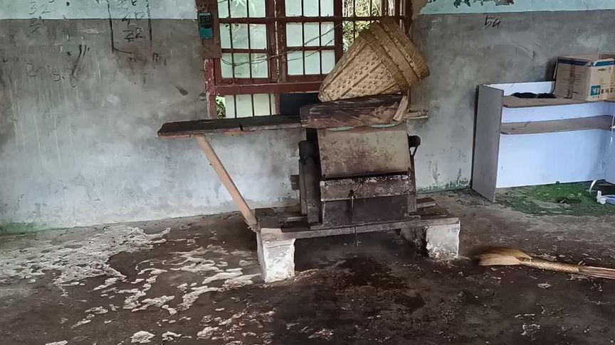 在计划经济时代下,曾经的茶厂给村集体经济带来了多少价值