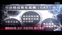 生物活性过氧化氢酶CAT(辽宁威兰生物)2