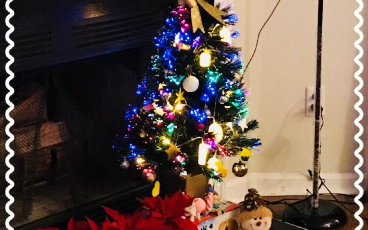 【3D打印】圣诞装饰品,挂满小小的圣诞树